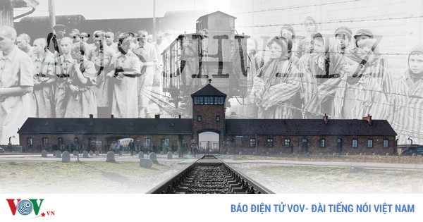 Infographic: 75 năm ngày Hồng quân giải phóng trại Auschwitz
