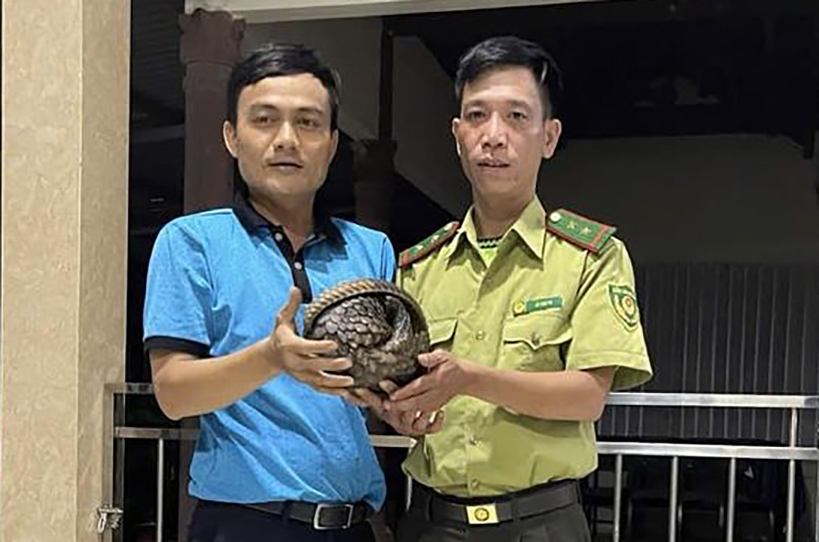 Người dân Thừa Thiên Huế giao nộp nhiều động vật rừng quý hiếm
