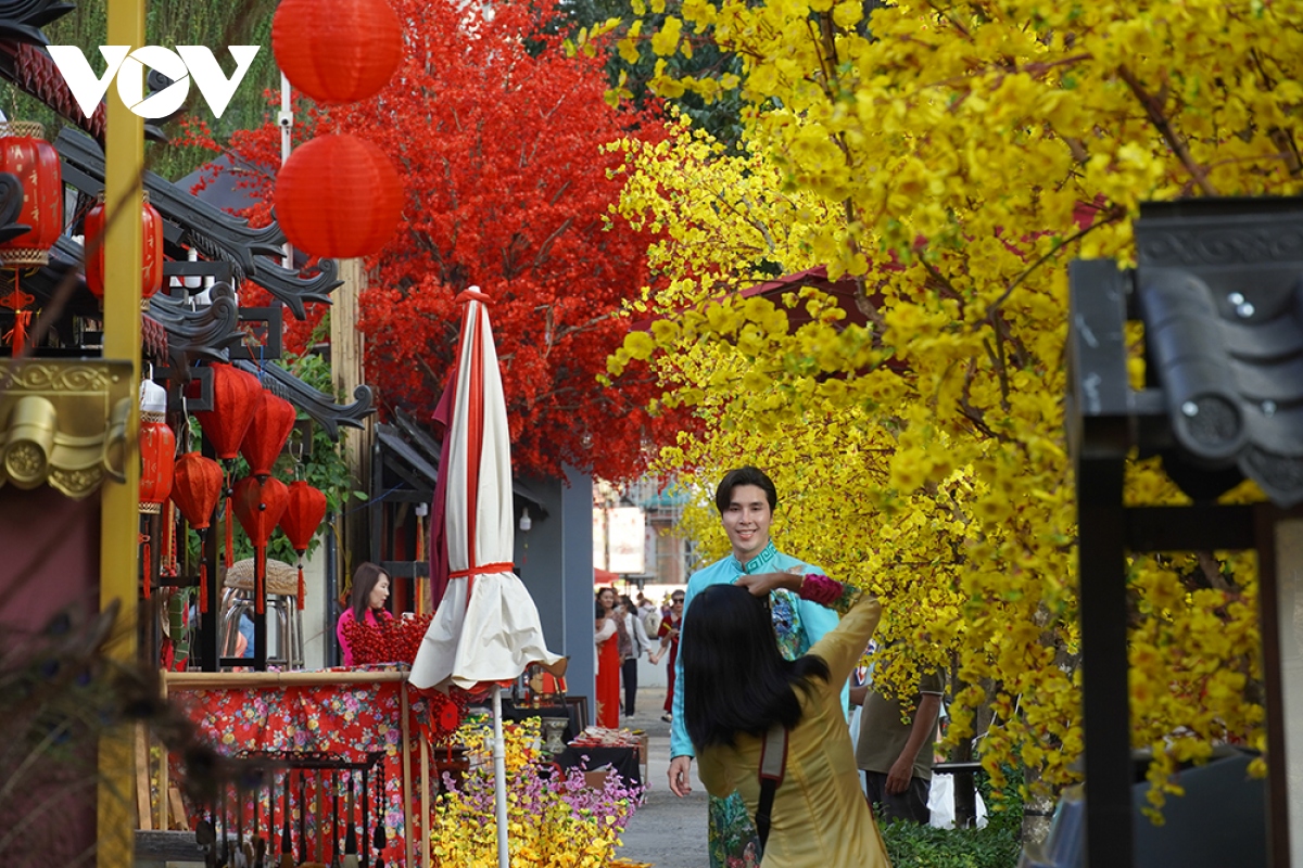 Đường mai, phố ông đồ ở TP.HCM rực rỡ đón Tết sớm